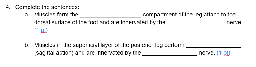 Solved 4. Complete the sentences: a. Muscles form the | Chegg.com