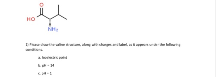 Valine Structure At Ph 1