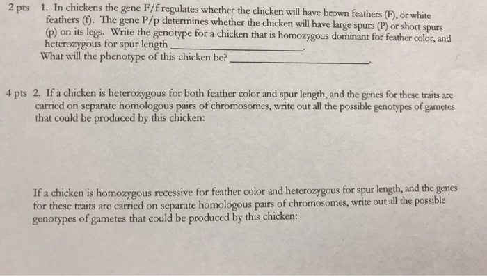 Solved 1. In chickens the gene F/f regulates whether the | Chegg.com
