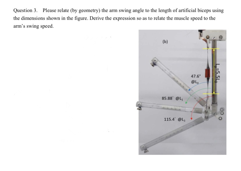 Solved Question 3. Please relate (by geometry) the arm swing | Chegg.com
