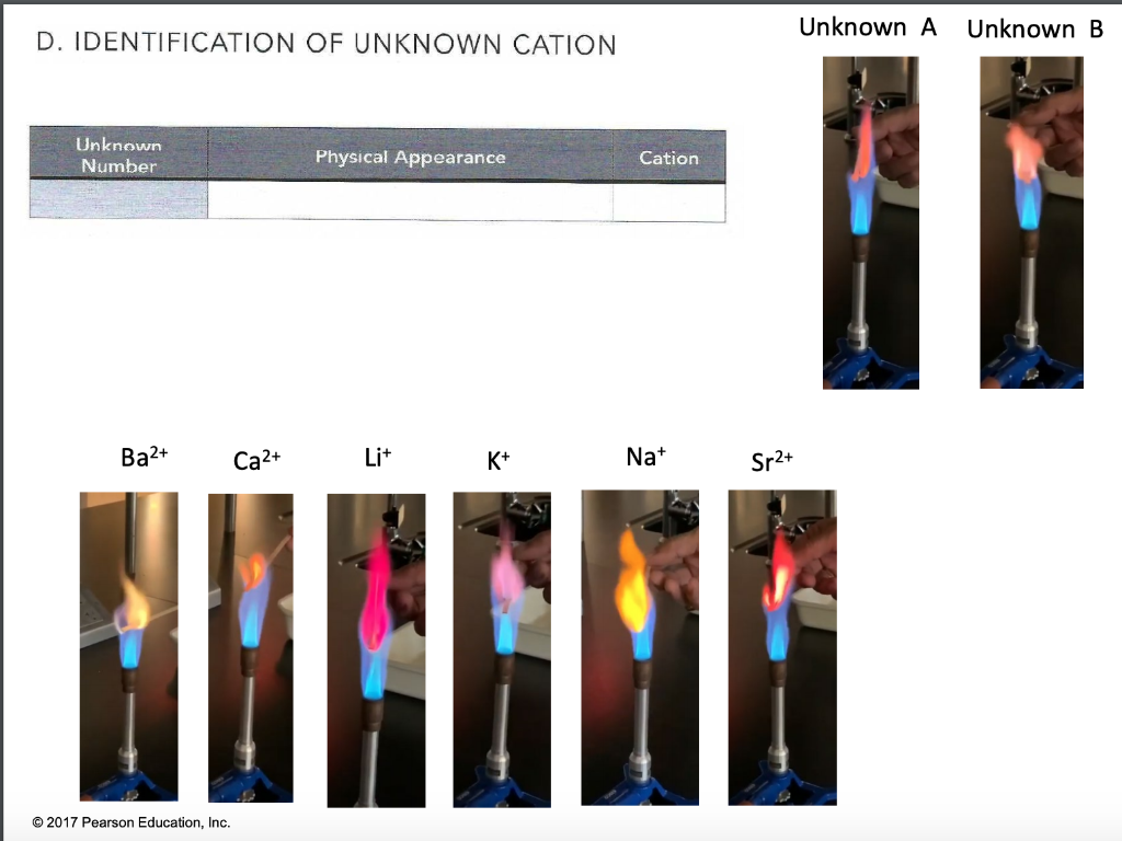 Solved D. IDENTIFICATION OF UNKNOWN CATION 65 Obtain an | Chegg.com