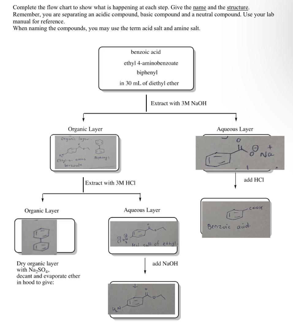 Solved Complete the flow chart to show what is happening at | Chegg.com