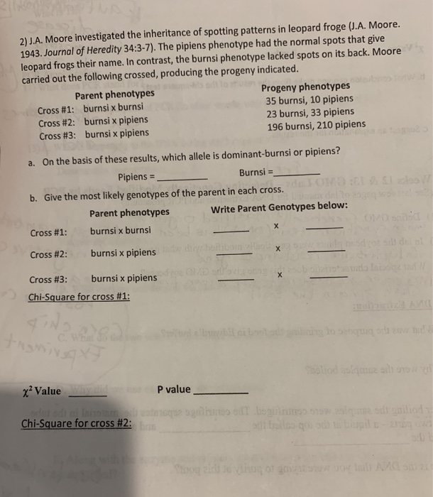 2) J.A. Moore investigated the inheritance of | Chegg.com