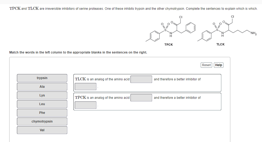 Solved TPCK and TLCK are irreversible inhibitors of serine | Chegg.com