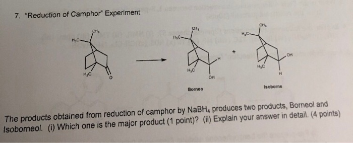 Solved "Reduction of Camphor" Experiment The products | Chegg.com