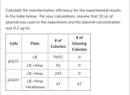 Solved Calculate the transformation efficiency for the | Chegg.com