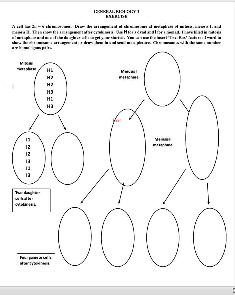 Solved GENERAL BIOLOGY 1 EXERCISE A cell has 2n = 6 | Chegg.com