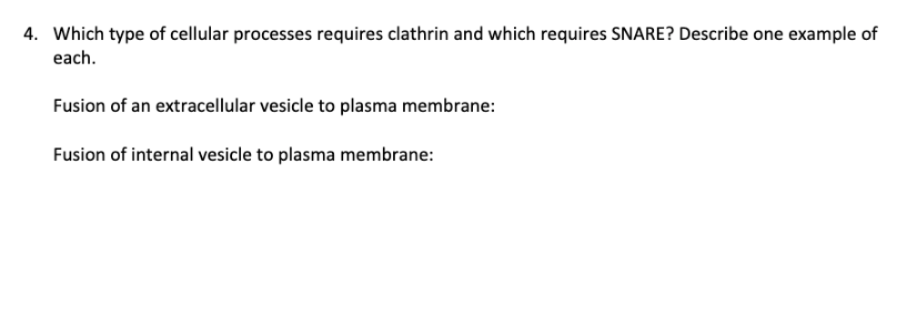 Solved Which type of cellular processes requires clathrin | Chegg.com