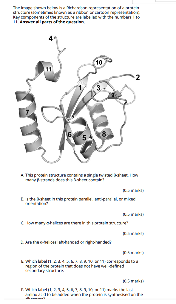 Solved Just struggling to determine whether all beta strands | Chegg.com