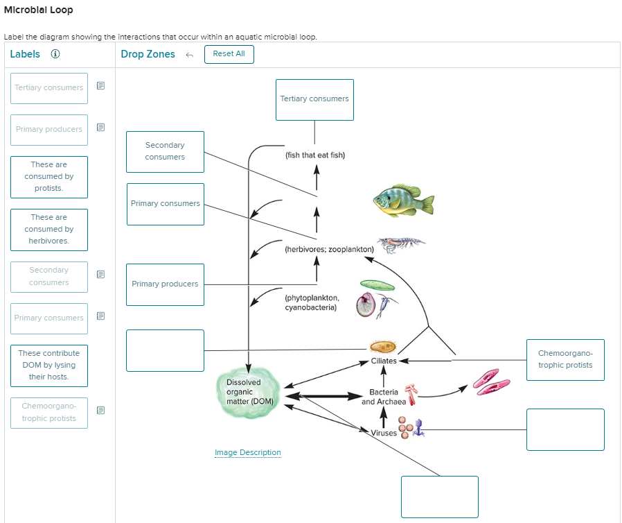Solved Label the diagram showing the interactions that occur | Chegg.com