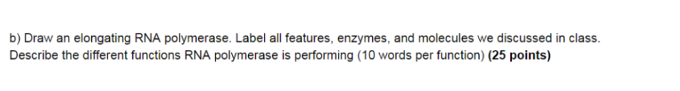Solved b) Draw an elongating RNA polymerase. Label all | Chegg.com