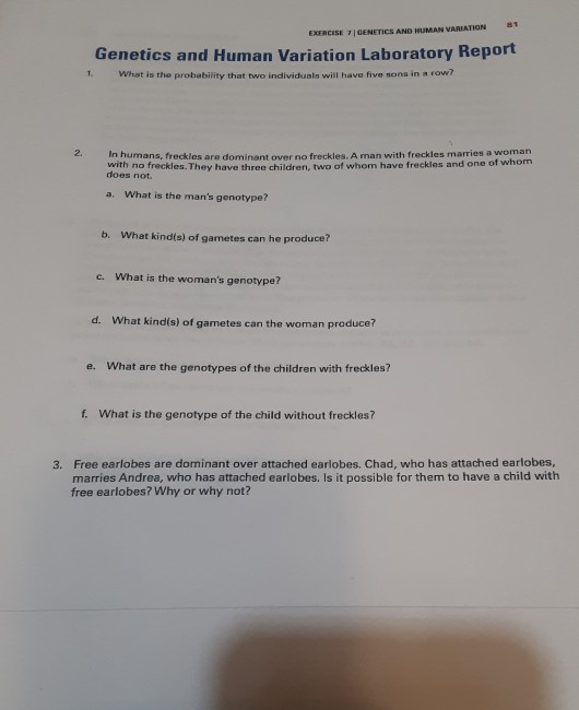 Solved 81 EXERCISE | GENETICS AND HUMAN VARIATION Genetics | Chegg.com