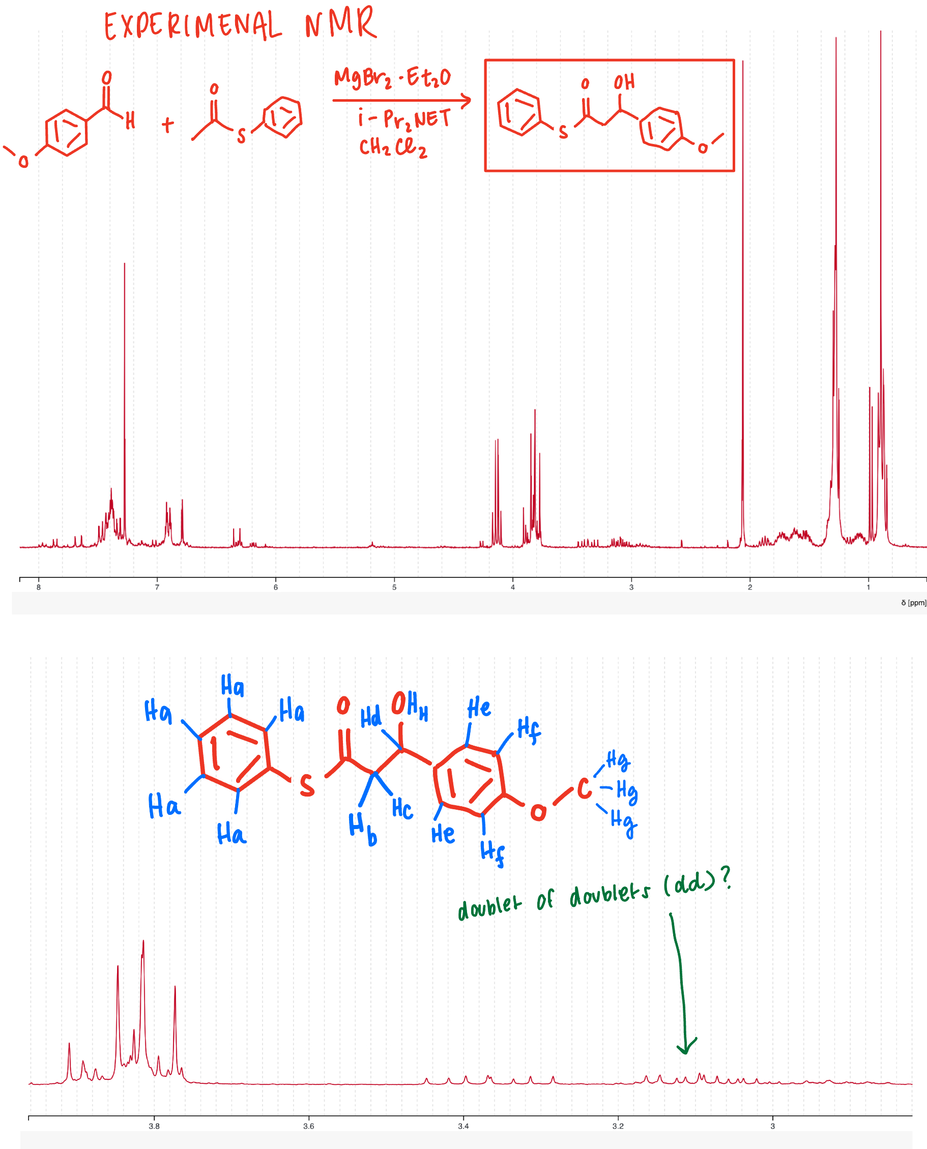 Solved Comparing experimental NMR (red) ﻿with model nmr | Chegg.com