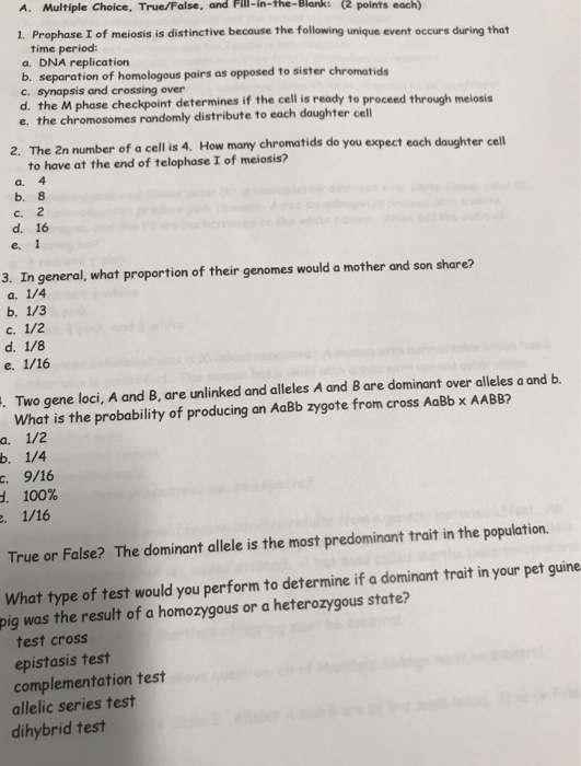 Solved A. Multiple Choice, True/False, and Fit-Blank: ( | Chegg.com