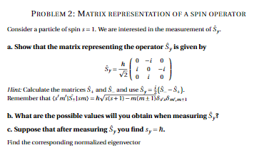 Solved PROBLEM 2: MATRIX REPRESENTATION OF A SPIN OPERATOR | Chegg.com