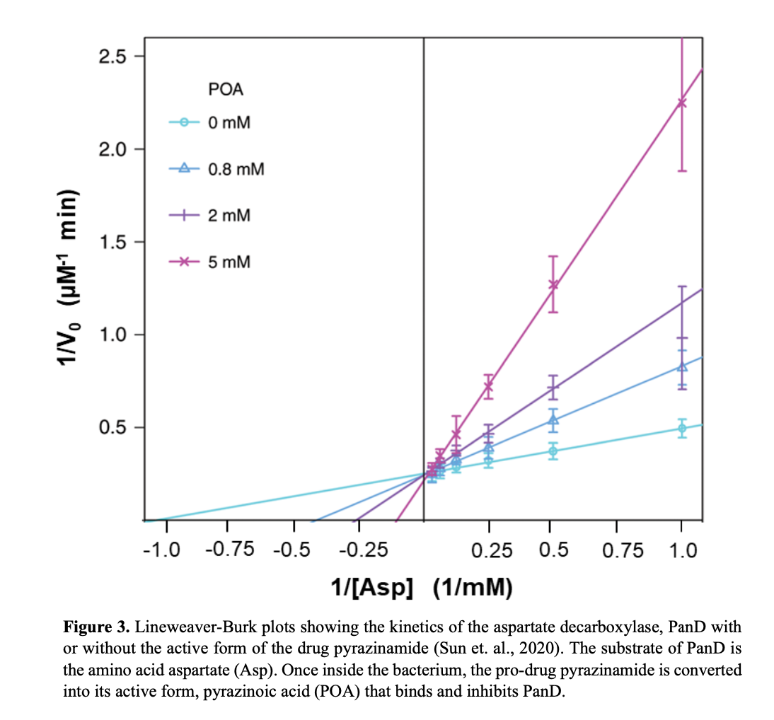 Solved V. Pyrazinamide is an oral drug that is part of the | Chegg.com