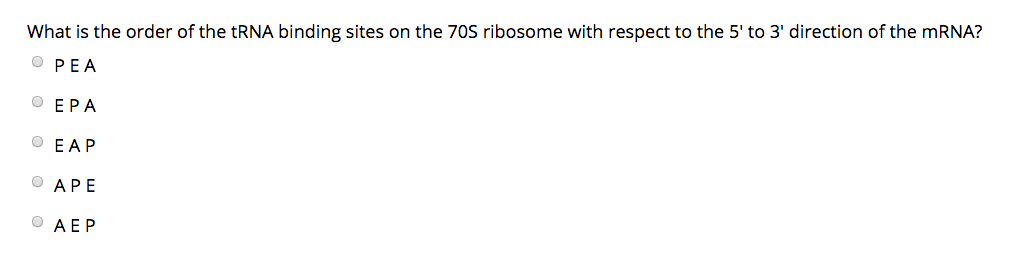 Solved What is the order of the tRNA binding sites on the | Chegg.com