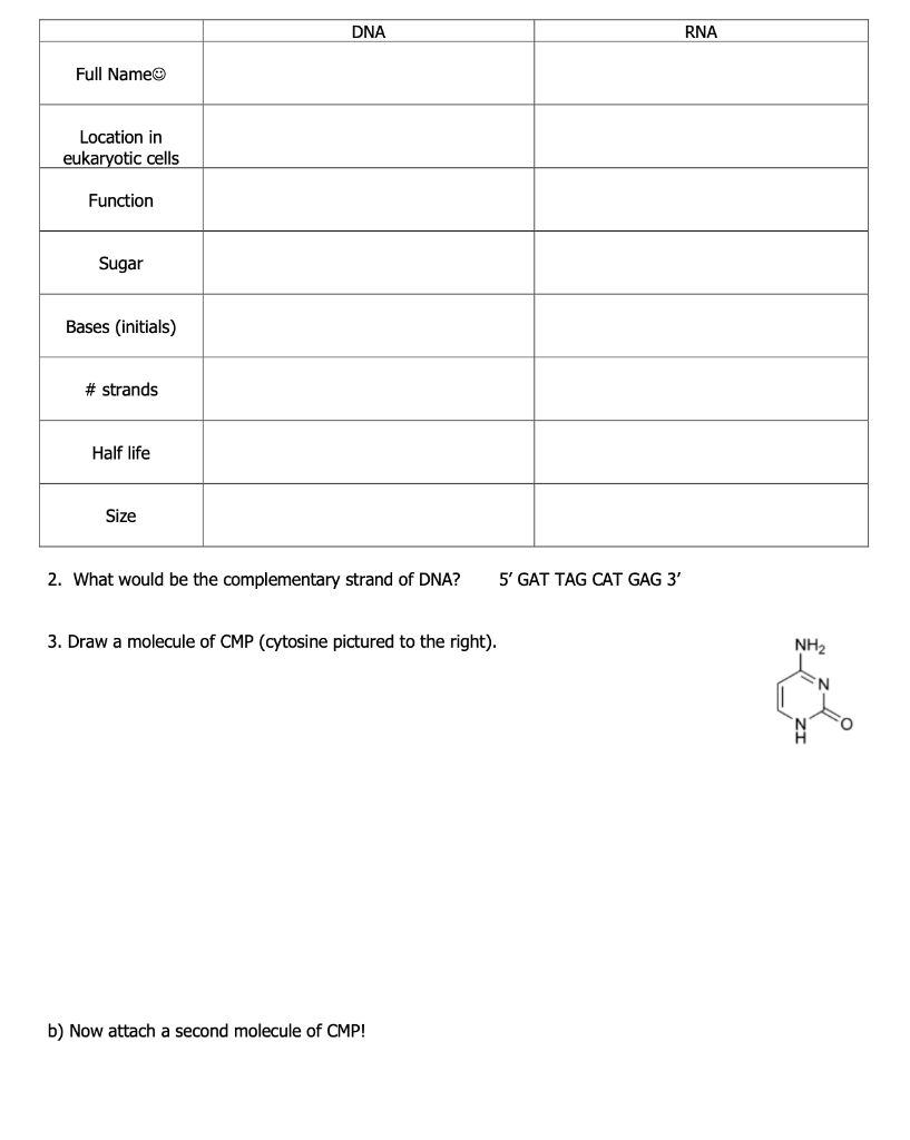 Solved DNA RNA Full Name Location in eukaryotic cells | Chegg.com