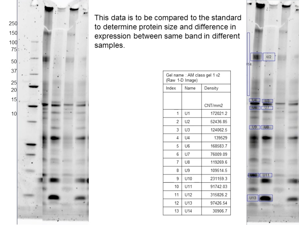 Solved ANSWER BOTH OR DO NOT PLEASE 1. From the proteomics | Chegg.com