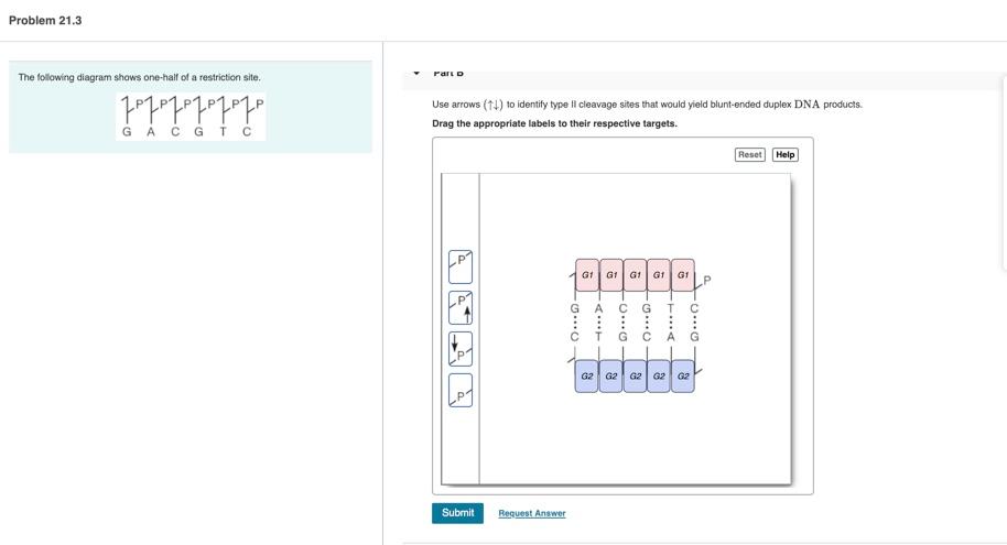 Solved Use arrows (↑↓)(↑↓) to identify type II cleavage | Chegg.com Solved Use arrows (↑↓)(↑↓) to identify type II cleavage | Chegg.com