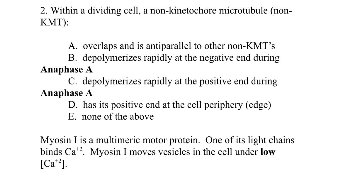 Solved 2. Within a dividing cell, a non-kinetochore | Chegg.com