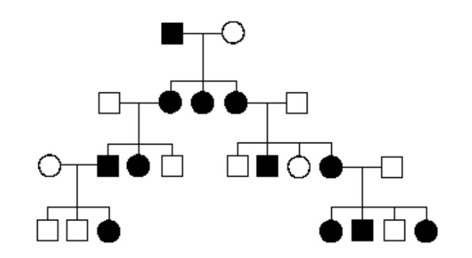 Solved In the following pedigrees, which modes of | Chegg.com