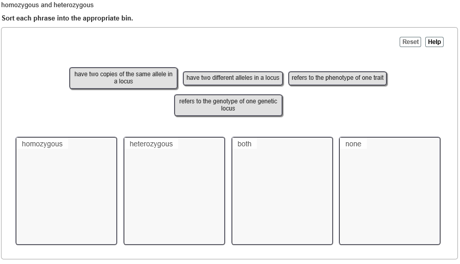 Solved homozygous and heterozygous Sort each phrase into the | Chegg.com