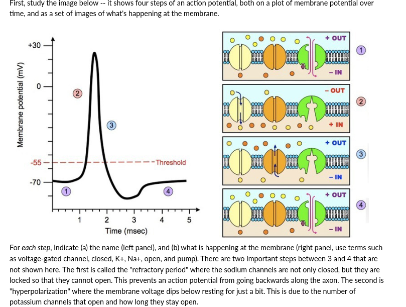 Solved First, study the image below -- it shows four steps | Chegg.com