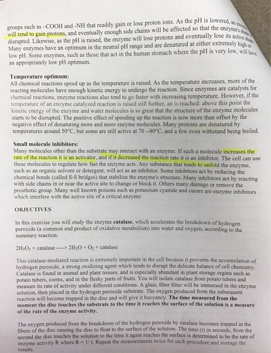 BCHE 341 Lab Lab 6 & 7: Potato Enzyme Kinetics: | Chegg.com