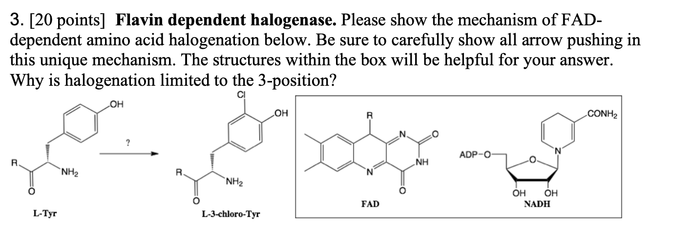 Solved 3. [20 points] Flavin dependent halogenase. Please | Chegg.com
