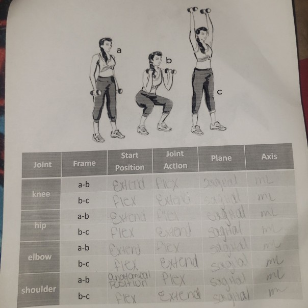 Solved Joint Start Joint Plane Axis Frame Action Position | Chegg.com