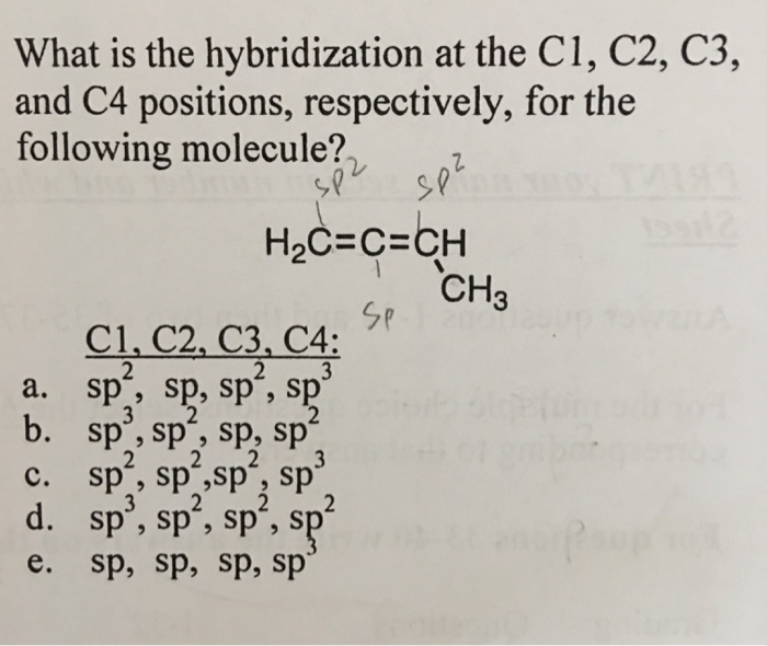 Solved What is the hybridization at the C1, C2, C3, and C4 | Chegg.com