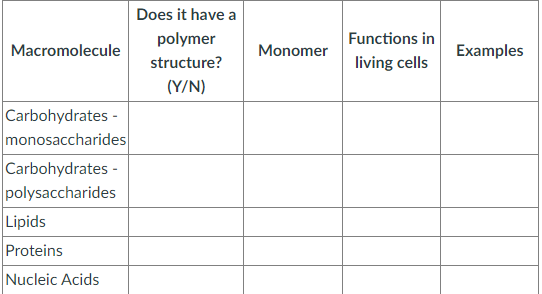 Solved Macromolecule Does it have a polymer structure? (Y/N) | Chegg.com