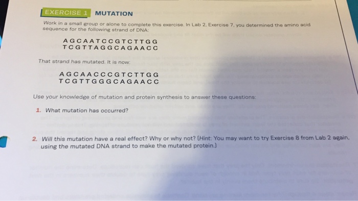 Solved EXERCISE 1 MUTATION Work in a small group or alone to | Chegg.com