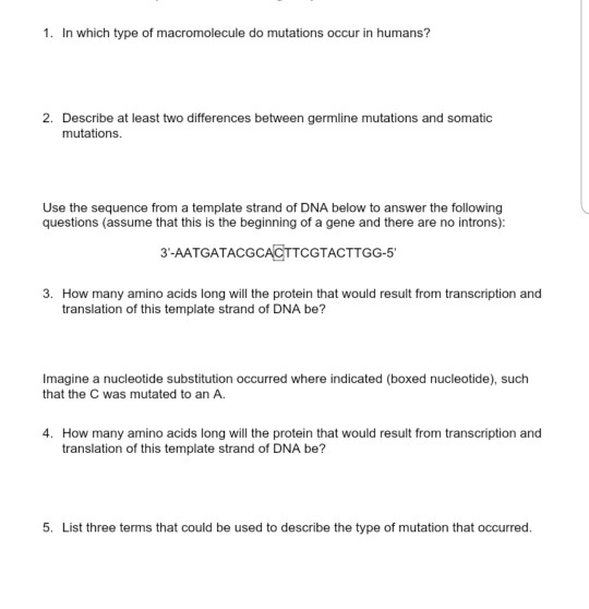 Solved 1. In which type of macromolecule do mutations occur | Chegg.com