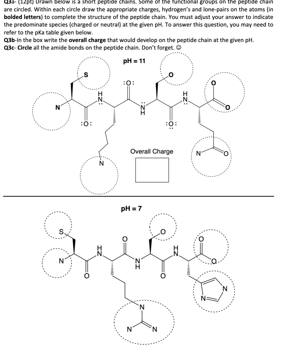 Solved Q3a- (12pt) Drawn below is a short peptide chains. | Chegg.com