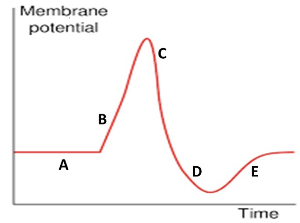 Solved 1. Answer the following questions for each position | Chegg.com