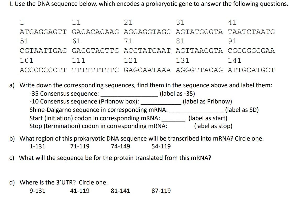 Solved 1. Use the DNA sequence below, which encodes a | Chegg.com
