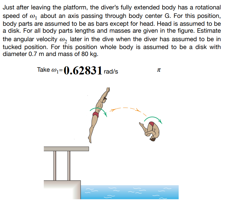 Just after leaving the platform, the diver's fully | Chegg.com