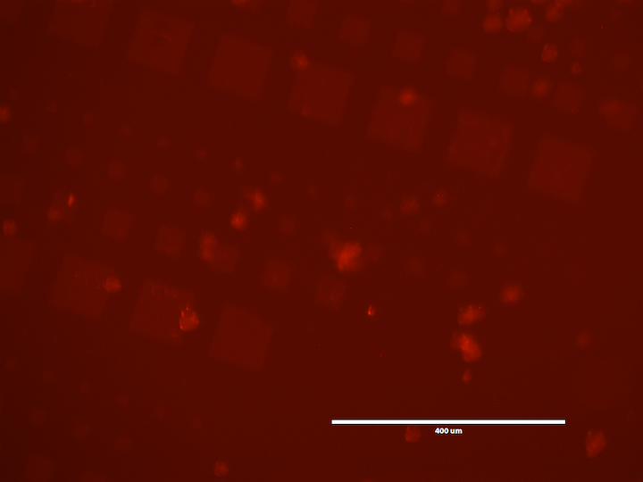 In one professional-quality figure with 4 panels, | Chegg.com