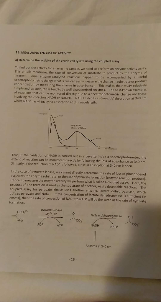 Solved Standard enzyme assay procedure for pyruvate kinase | Chegg.com
