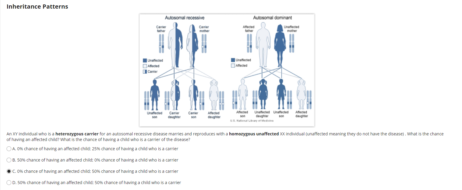 Solved Inheritance Patterns Autosomal recessive Autosomal | Chegg.com