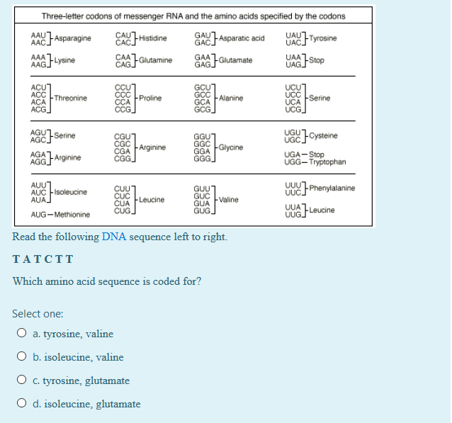Solved Three-letter codons of messenger RNA and the amino | Chegg.com