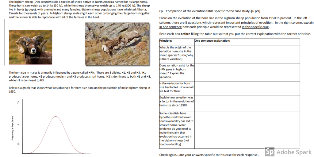 Solved The bighorn sheep (Ovis canadensis) is a species of | Chegg.com