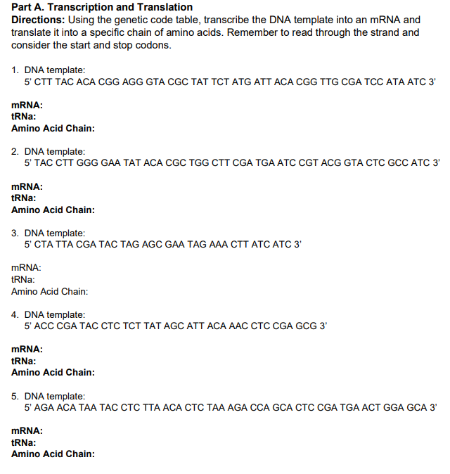Solved Part A. Transcription and Translation Directions: | Chegg.com