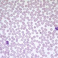 Solved GIVE A DETAILED NOTE ON EACH OF THE | Chegg.com