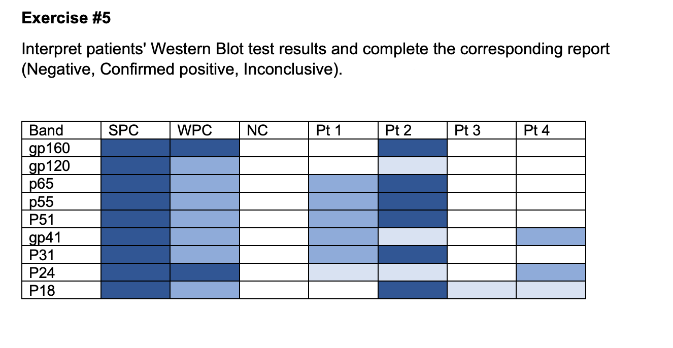 Exercise #5 Interpret patients' Western Blot test | Chegg.com