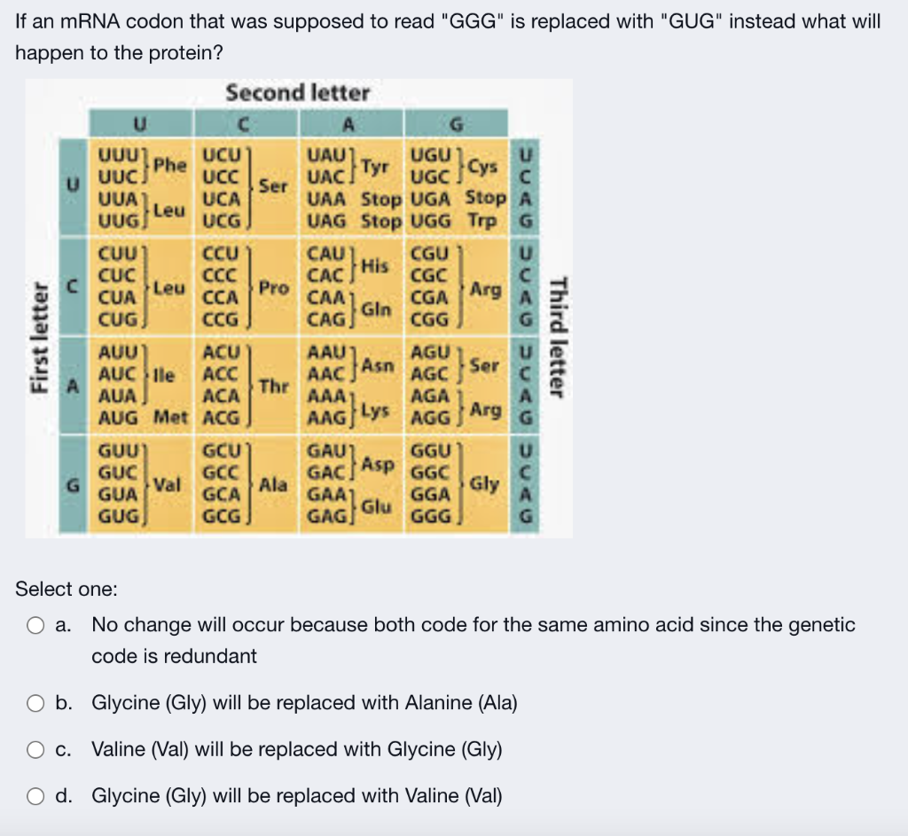 Solved UGU CYS Phe If an mRNA codon that was supposed to | Chegg.com