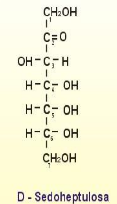 Solved Draw the 2 Haworth structures corresponding to | Chegg.com