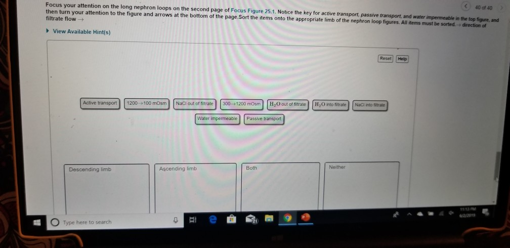 Solved View Available Hint(s) Reset Help collecting ducts . | Chegg.com